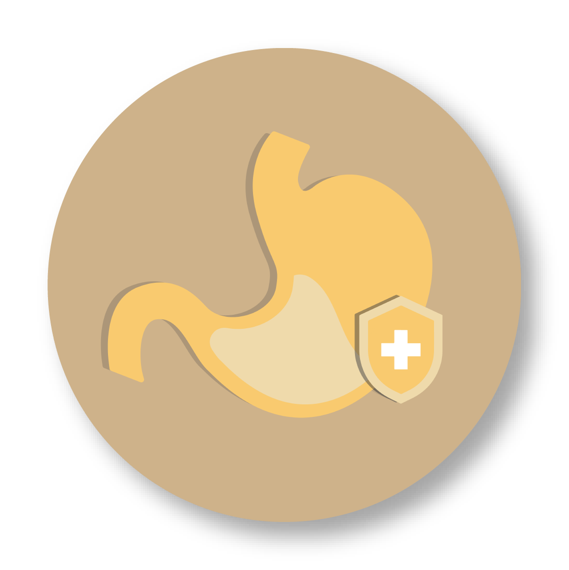 SOLITA – #SOLmateLambungKita